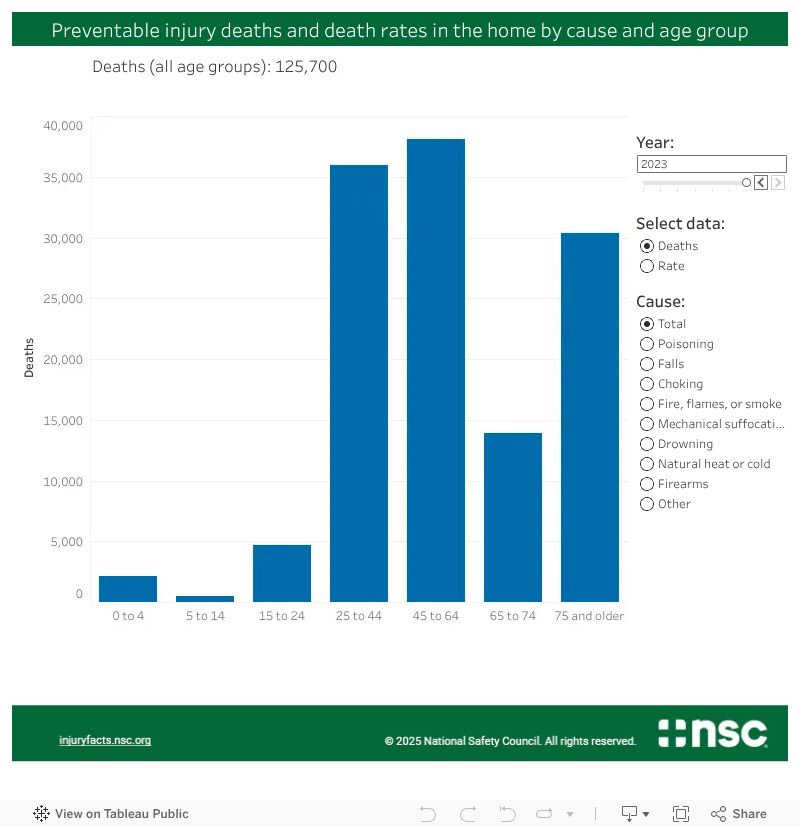 Deaths in the Home by Age Group - Injury Facts