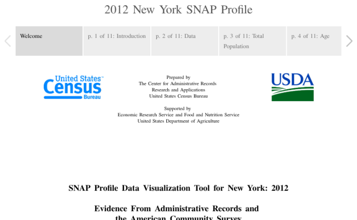 Workbook: 2012 New York SNAP Profile