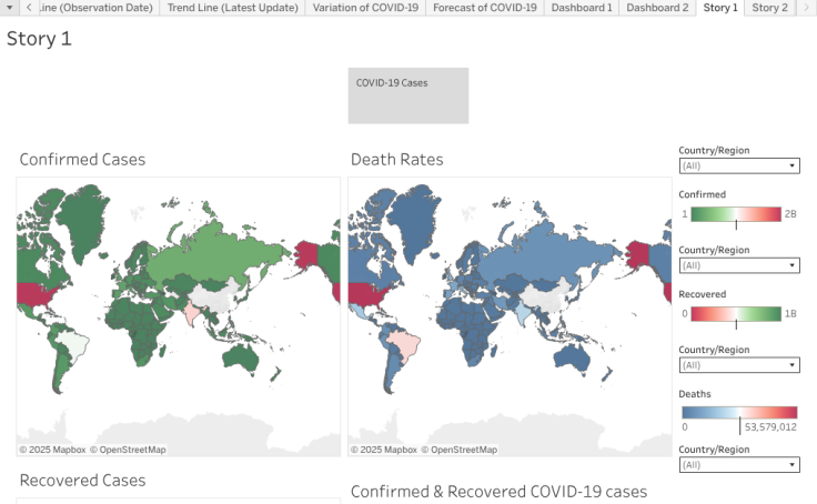 Workbook: COVID-19 Cases
