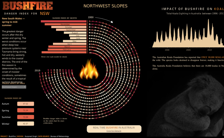 Workbook: Bushfires in NSW Australia