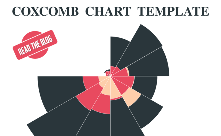Workbook: Coxcomb Chart Template