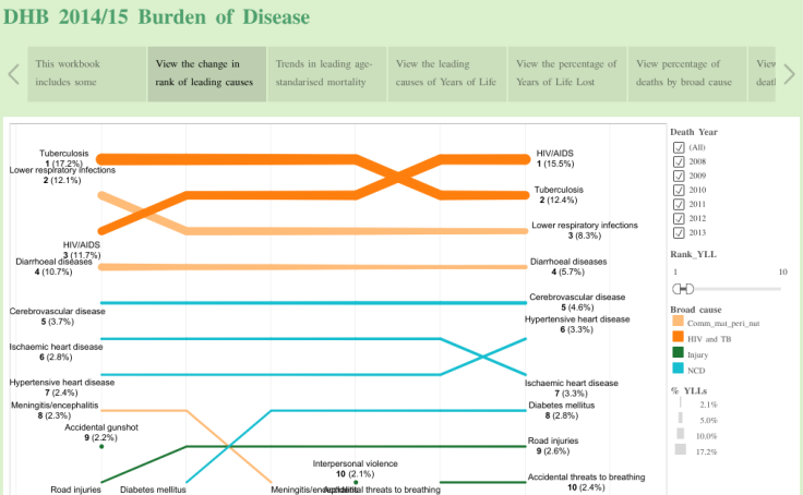 Workbook: Burden of Disease Story- District Health Barometer 2014/15