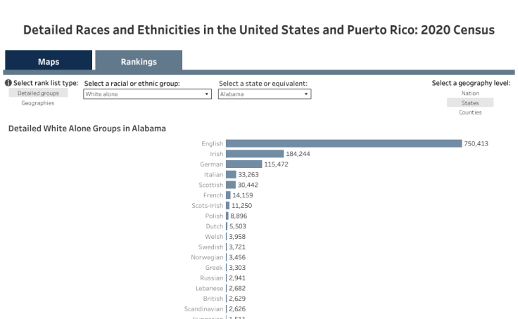 Workbook: Detailed Race and Ethnicities in the United States and Puerto ...