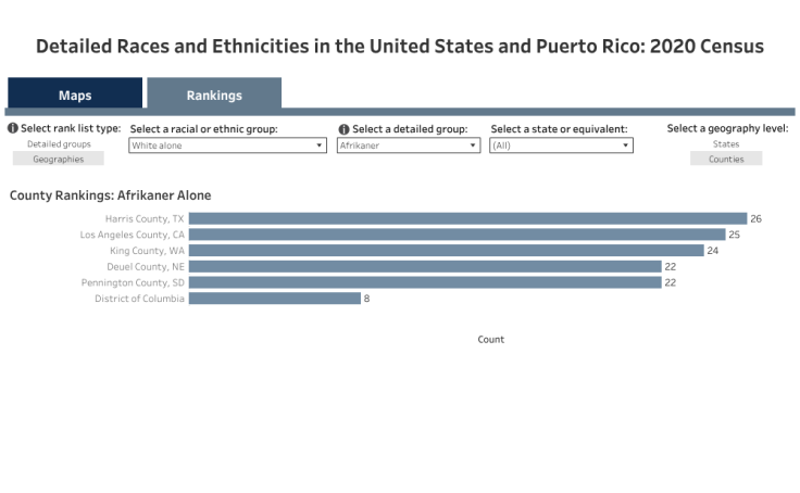 Workbook: Detailed Race and Ethnicities in the United States and Puerto ...