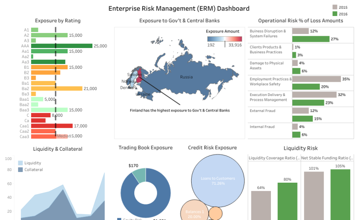 Workbook: Enterprise Risk Management Dashboard