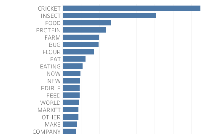 Workbook: Entomophagy Word Bar Chart