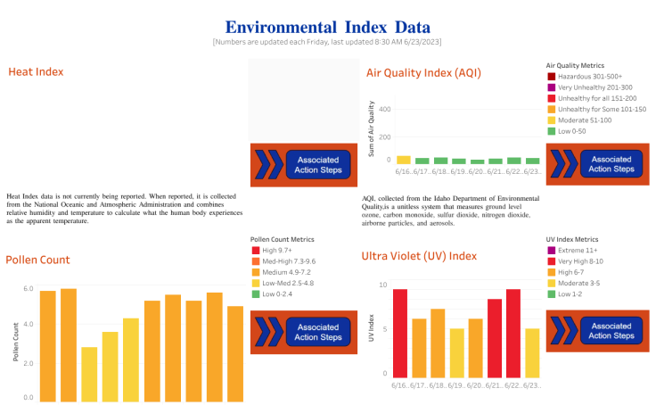 Workbook: Environmental Index PHO BSU