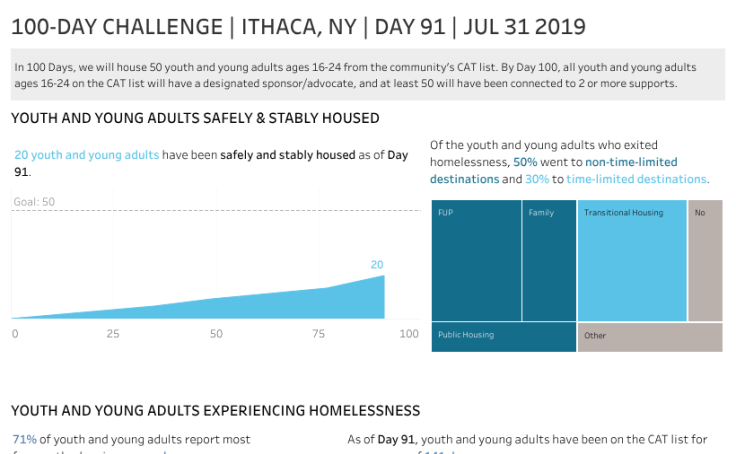Workbook: Ithaca NY 100-Day Challenge Dashboard