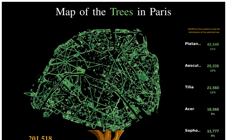 Workbook: Map of the Trees - Paris