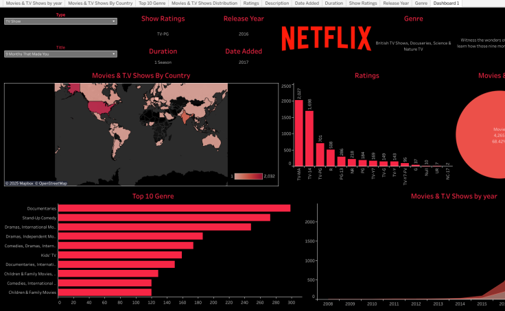 Workbook: Netflix Dashboard