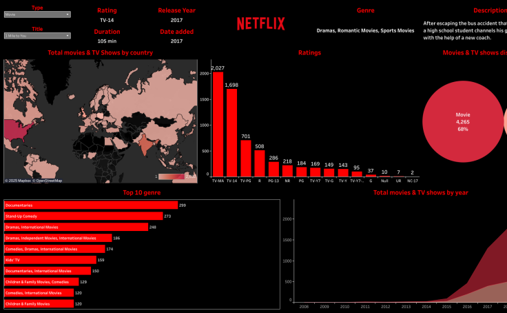 Workbook: Netflix Dashboard