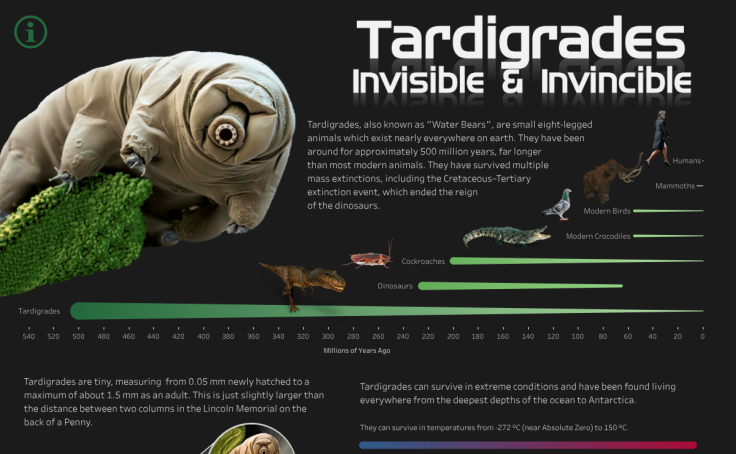 Workbook: Tardigrades: Invisible and Invincible