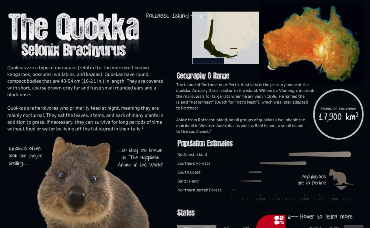 Workbook: The Happiest Animal in the World: The Quokka