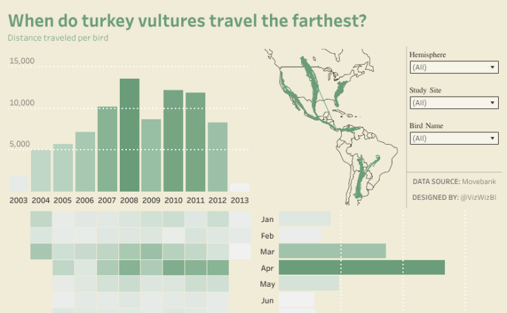 Workbook: Turkey Vulture Migration