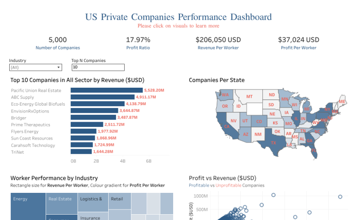 Workbook: US Private Companies Performance Dashboard (CFI - BIDA Project)